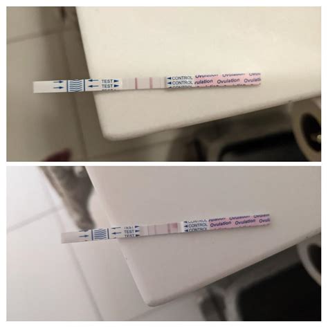 Am I Ovulating R Tryingtoconceive