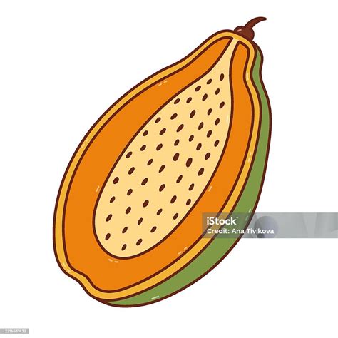 씨앗을 반으로 자른 사랑스러운 여러 가지 빛깔의 열대 파파야 과일 인사말 카드 인쇄 소셜 미디어를 위한 여름 같은 이국적인 음식의 낙서 트렌디한 익은 Tasteful 과일