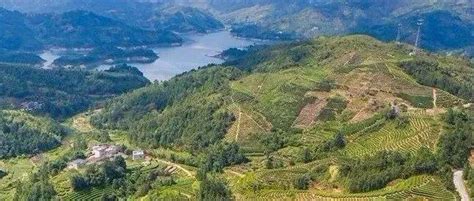建设“东亚文化之都”丨梅州山色动人，来去出门踏青～景区粤东阴那山