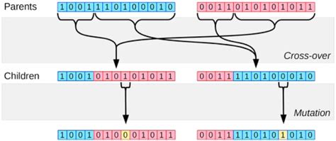 Cross Over And Mutation Operator Download Scientific Diagram