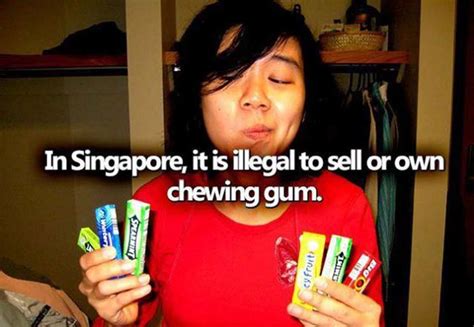 These 30 Completely Useless Facts Are Guaranteed To Make You More Interesting Viralnova