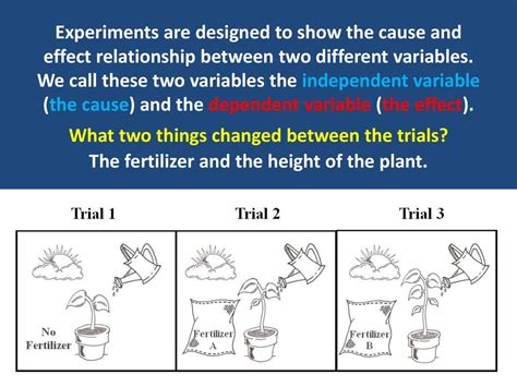 Experimental Design Ppt Download