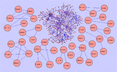 figure 3 from discovering maximal cohesive subgraphs and patterns from