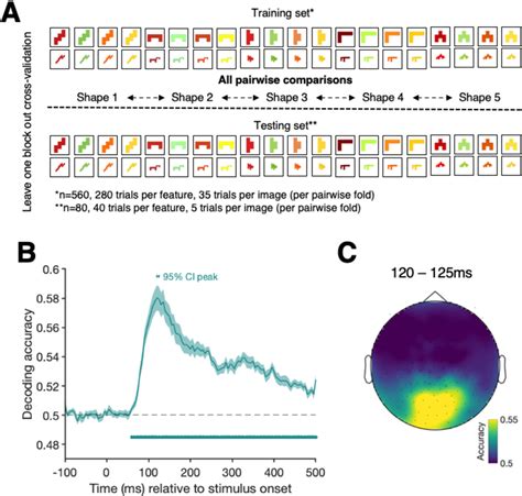 Figure 5 From The Influence Of Object Color Knowledge On Emerging Object Representations In The