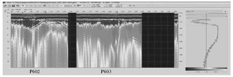 Gpr Raw Data Presented Via Krot 1301 Software Download Scientific Diagram