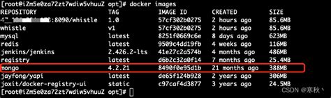 使用docker安装yapi接口管理工具 yapi docker csdn博客