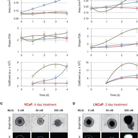 Effect Of Mln On Spheroid Growth Morphology And Apoptosis Ab Download Scientific Diagram