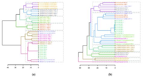 Dendrogram Showing Hierarchical Clustering Of A Fecal And B Plasma Download Scientific