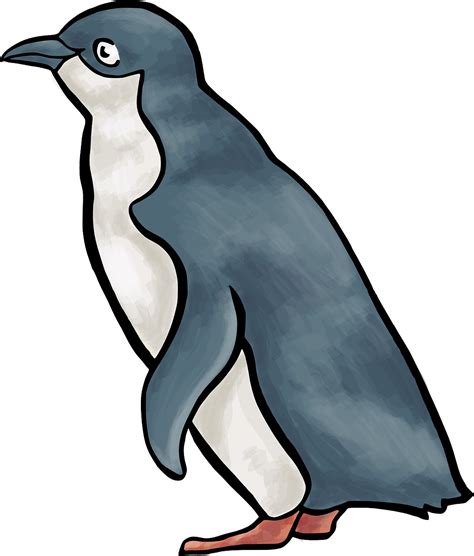超过 100 张关于“linux”和“企鹅”的免费图片 pixabay