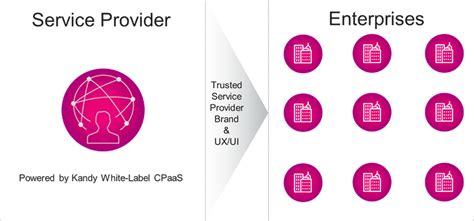 Kandy CPaaS Helping Service Providers Participate In A Multi Billion Dollar Growing Market