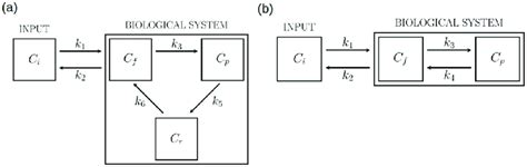 Compartmental Models Used For Data Analysis A Biochemically Driven Download Scientific