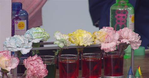 DIY Rainbow Science Experiments You Can At Home CBS Minnesota