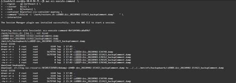 Aws Fargateでecs Exec、session Managerモロモロのtips 電通総研 テックブログ