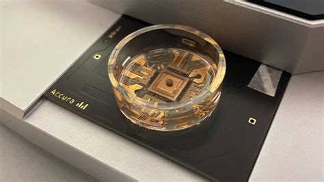 exploring the intersection of neuronal cultures robotics and ai
