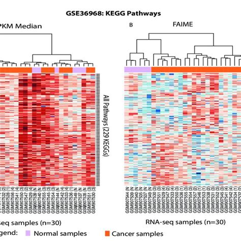 Unsupervised Hierarchical Clustering Of All Kegg Pathway Level Scores