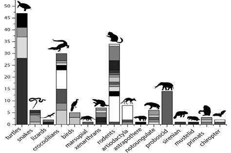 Column Chart Showing The Number Of Tetrapod Records Identified By