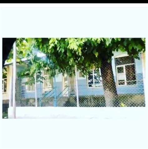 დუისის საჯარო სკოლა