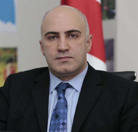 გიორგი ჩოგოვაძე Factcheck Ge