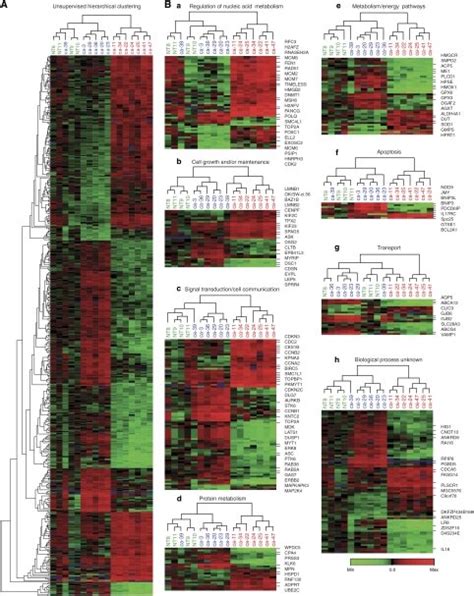 A Hierarchical Clustering Of All 337 Genes Selected By Performing A