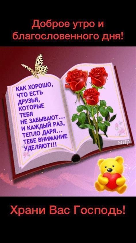 Пин от пользователя Gsmolnakov на доске Доброе утро Смешные поздравительные открытки Картинки