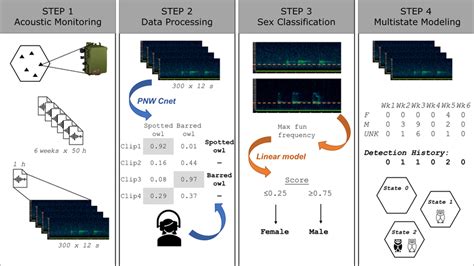 workflow for collecting processing and analyzing data from passive