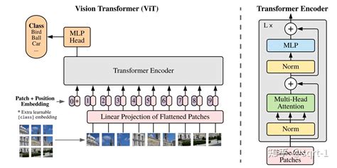 Multiscale Vision Transformers 知乎