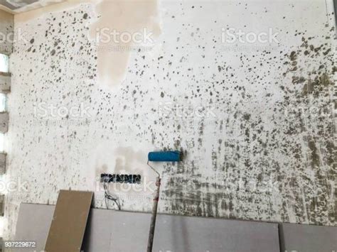 아파트에서 수리에 대 한 자료는 재건 및 혁신 리 모델링 공사중 개선에 대한 스톡 사진 및 기타 이미지 개선 건축 금속