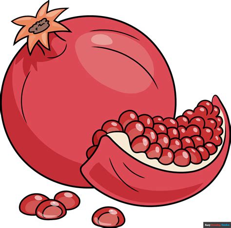 How To Draw A Pomegranate Pomegranate Drawing Fruits Drawing Easy
