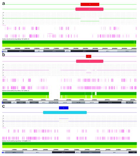 Snp Array Analysis Of Colocalized Regularmosaic Chromosome Imbalances