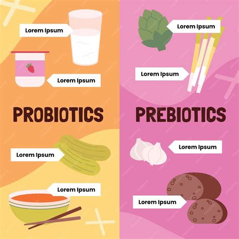 손으로 그린 프로바이오틱스 및 프리바이오틱스 인포그래픽 프리미엄 벡터
