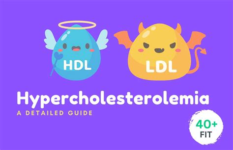 Understanding Hypercholesterolemia A Guide For Those Over 40