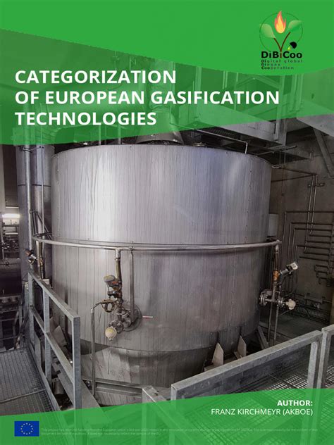 Biogas Gasification Final Pdf Combustion Gasification