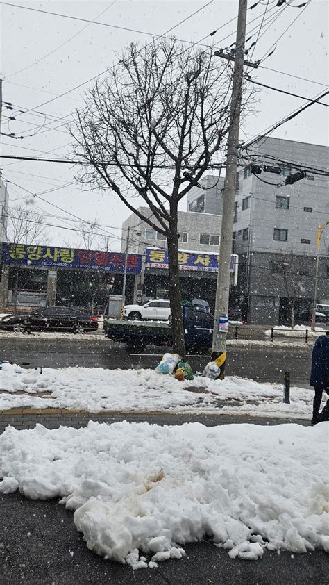 숲x ㅅㅂ 눈 또온다 숲 Soop 에펨코리아