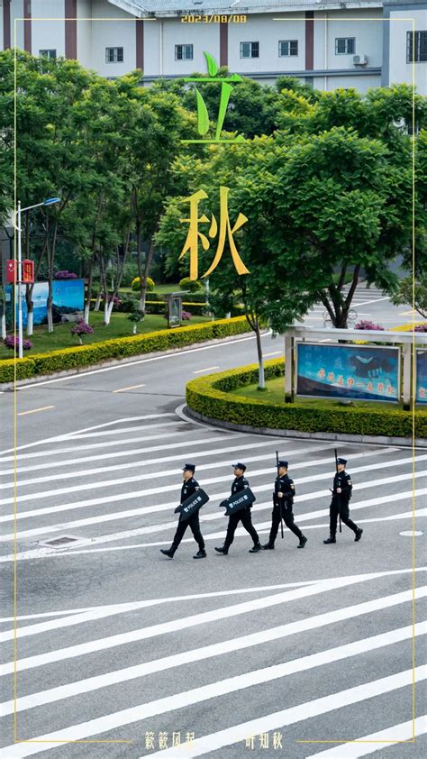 一组海报带你看看立秋警色 澎湃号政务 澎湃新闻 The Paper