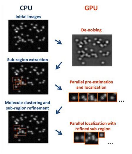 The Entire Image Analysis Routine For The Palmer Method Note That Download Scientific Diagram