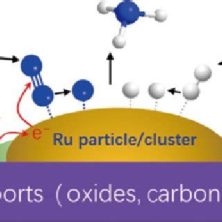 Schematic Diagram Of The Supported Ru Based Catalysts For The Nh