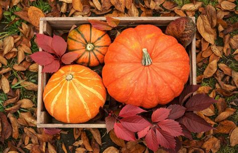 When Is The First Day Of Fall 2024 In Texas Cinda Ursulina