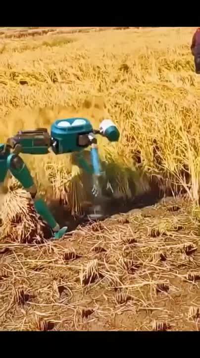 Muhammad Tahir On Linkedin Never Pay For Online Courses Ever Again