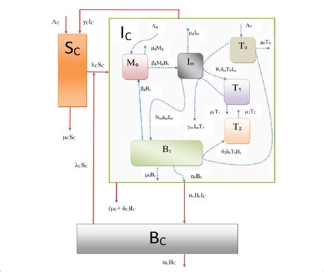 Figure A Schematic Representation Of The Nested Multiscale Model Of Download Scientific Diagram
