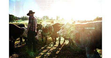 Chipotles Cultivate Next Fund Invests In Ai Supply Chain Solution And