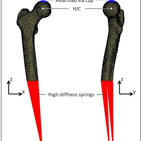 boundary conditions of the finite element model the model was distally