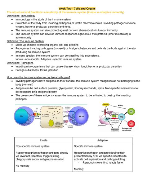 Immunology 1 Lecture Notes 1 12 Week Two Cells And Organs The