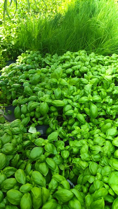 Kulla Kulla Added A New Photo