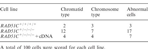 Table 2 From The Atr Chk 1 Pathway Plays A Role In The Generation Of