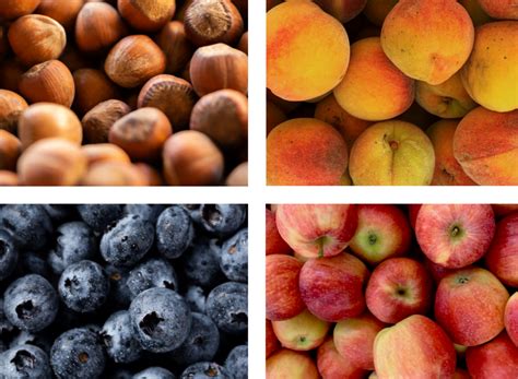 ქართული პროდუქტების ექსპორტი რუსეთში მაღალ მაჩვენებელზე რჩება Bpn