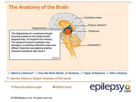 The Contiguity Theory Alicia Paarens E Portfolio