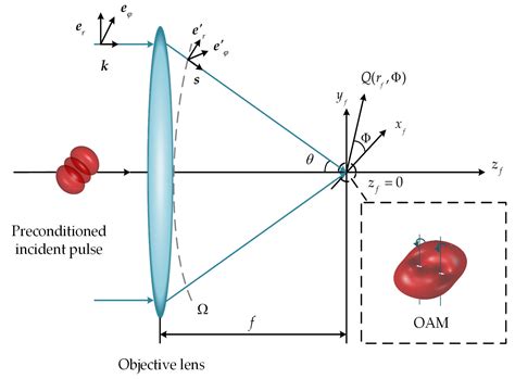 Dynamical Modulation Of Transverse Orbital Angular Momentum In Highly Confined Spatiotemporal