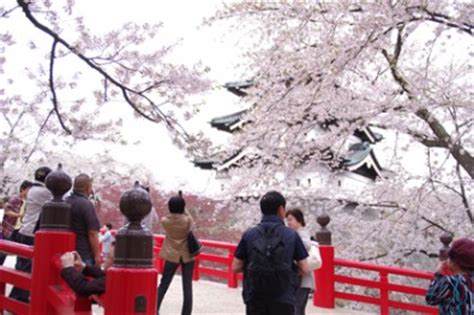 弘前公園撮影ポイント 弘前公園総合情報