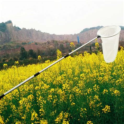 Insect Collecting Net Catch Cicadas Butterfly Dragonfly Shrimp Pocket Tadpoles Unisex Outdoor