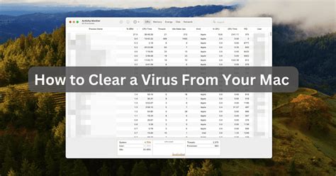 How To Clear A Virus From Your Mac